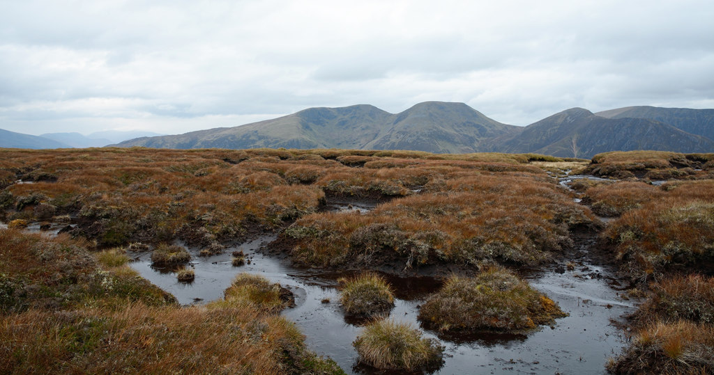 Meeting the Lindow Man – Kristyn J. Miller